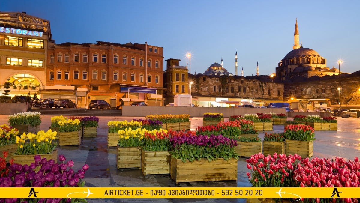 სტამბულის ტიტების ფესტივალი 2025: როდის და სად ტარდება - Aviabiletebi.org